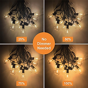 SUNTHIN Smart String Lights, 97FT Smart Patio Lights Work with Alexa & Google Assistant, 48 G40 Shatterproof LED Bulbs, Waterproof Hanging Lights for Porch, Backyard, Deck, Garden, Pergola, Bistro