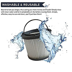 Black & Decker PVF110 Replacement Filter, Pack of 2