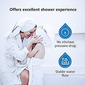 Waterspecialist WHR-140 Shower Filter Replacement Cartridge for Culligan® WHR-140, WSH-C125, ISH-100, HSH-C135, Shower Head Water Filter, with Advanced KDF Filtration Material, Pack of 2