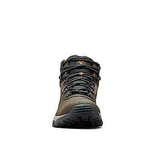 Columbia mens Newton Ridge Plus Ii Waterproof Boot Hiking Shoe, Cordovan/Squash, 10.5 US