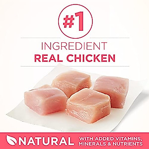 Purina ONE High Protein, Natural Dry Kitten Food, +Plus Healthy Kitten Formula - 3.5 lb. Bag