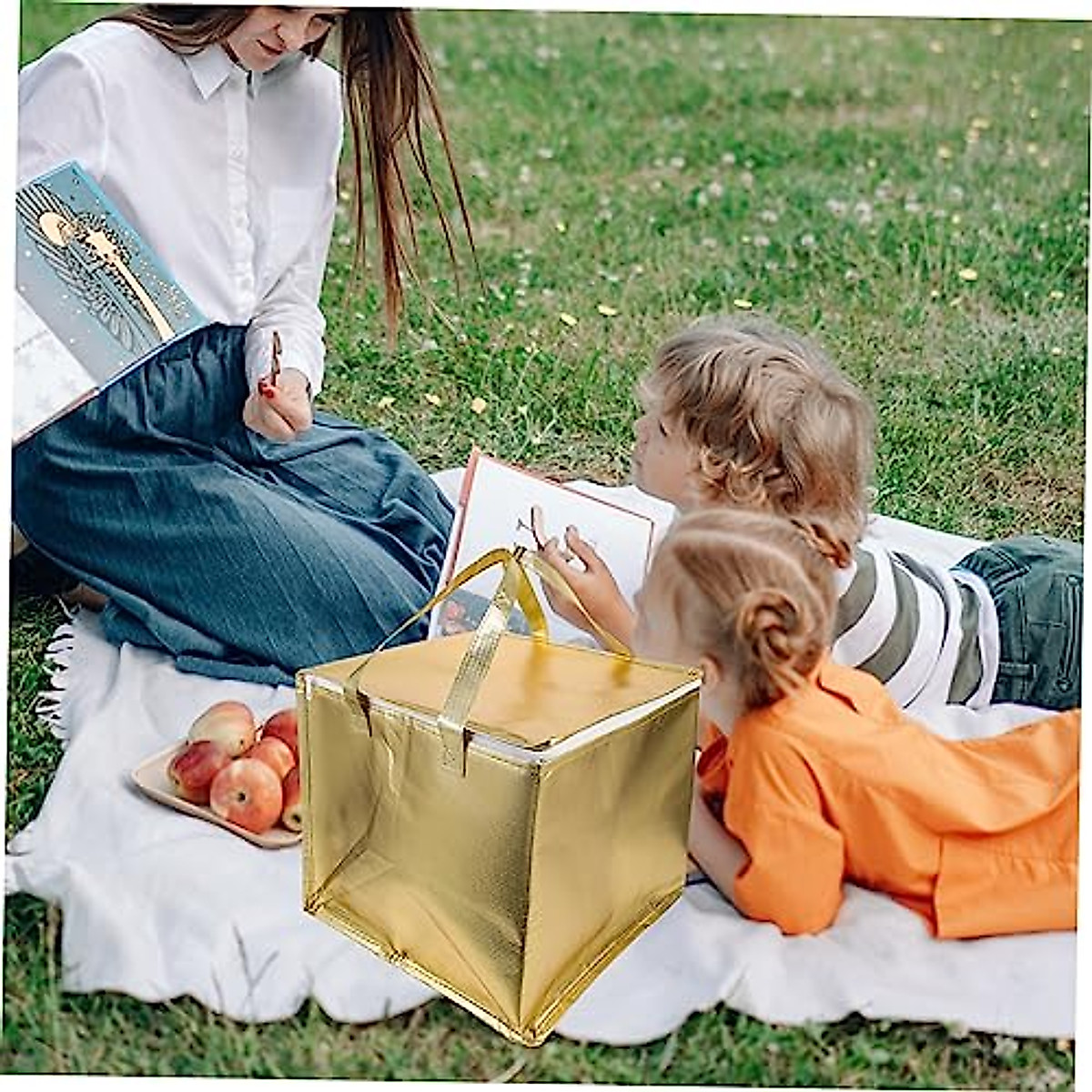 Reusable Grocery Bag Insulation foldable grocery shopping tote food transport cooler insulated bento Food Delivery Storage aluminum Stands Upright Warmer Grocery Delivery Bag