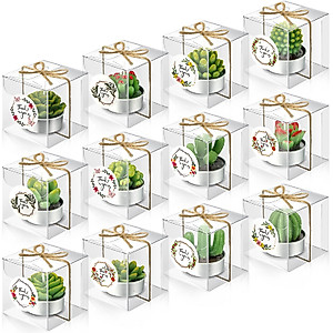 Qunclay 12 Sets Succulent Cactus Candle Mini Succulent Tealight Candle for Gift Smokeless Small Plant Candle for Christmas Birthday Wedding Party Gift Anniversary Celebration Spa Home Decor