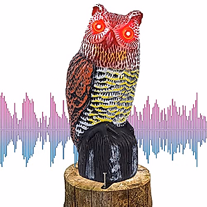Hausse Solar Fake Horned Owl Statue, Solar Powered Halloween Motion Activated Scarecrow Deterrent Owl with Red Eyes, Scary Sound Scare Birds Away for Garden Yard Outdoor