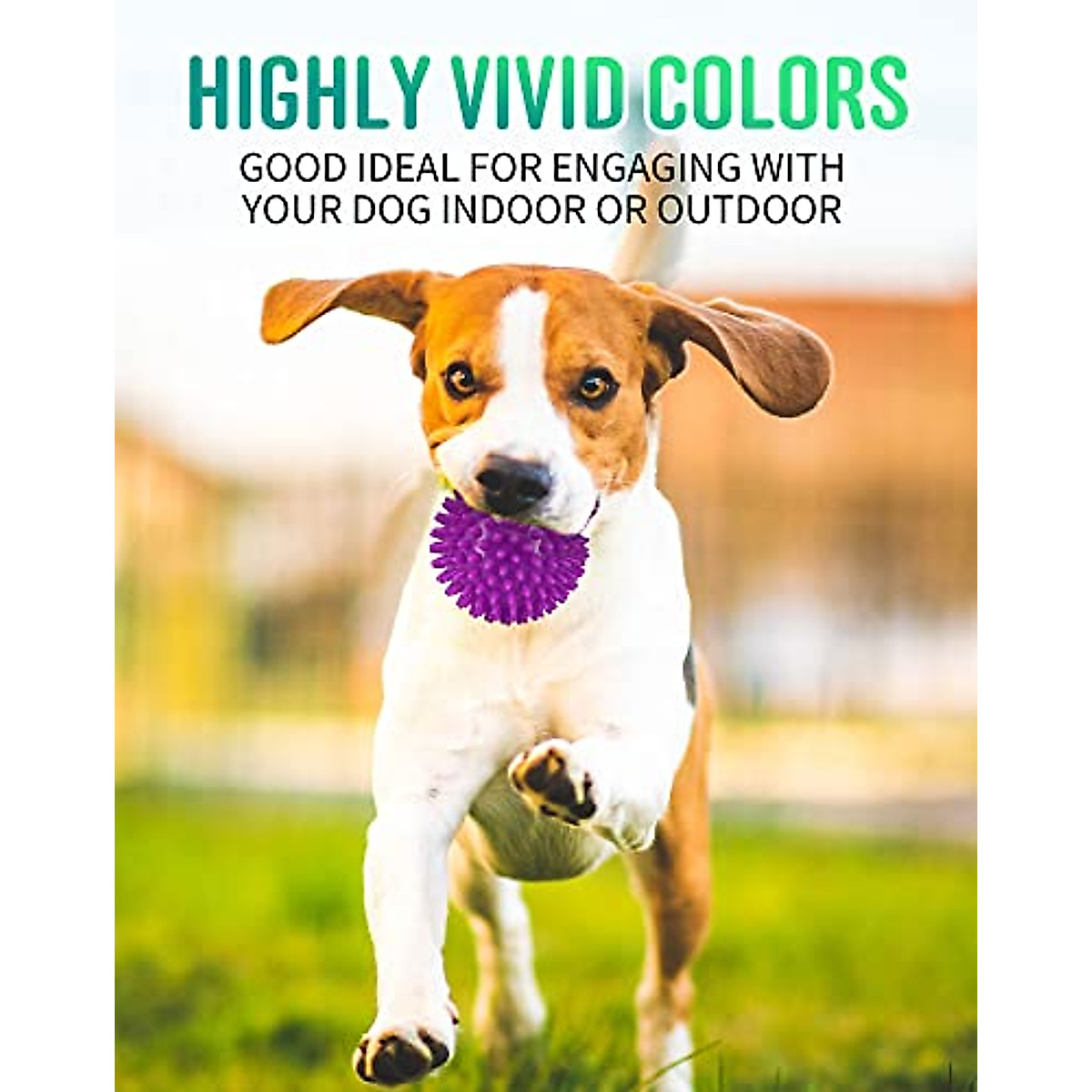 2.5" Squeaky Dog Balls for Small Medium Dogs, 6 Pack Small Dog Chew Toys with Spike, Puppy Toys for Teeth Cleaning and Training