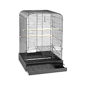 Prevue Hendryx 124BLK Pet Products Madison Bird Cage, Hammertone Black