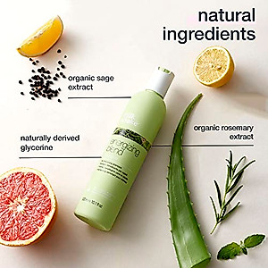 milk_shake Energizing Blend Shampoo, 10.1 Fl Oz