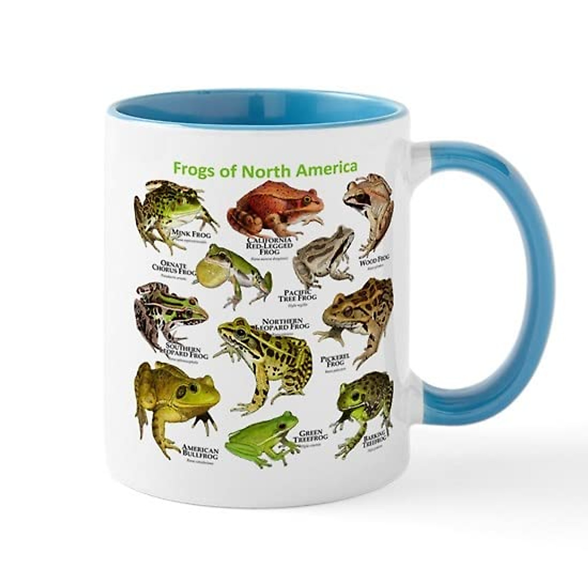 CafePress Frogs Of North America Mug Ceramic Coffee Mug, Tea Cup 11 oz