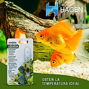 Marina Large Standing Thermometer - Provides Temperature in Fahrenheit and Celsius