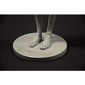 Female Anatomy Figure: 10.5-inch Anatomical Reference for Artists (Grey)