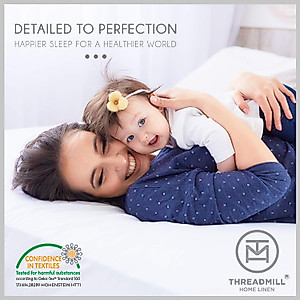 Threadmill King Size Pillow Cases Set of 2-100% Pure Cotton 300 Thread Count Sateen Weave Beige Pillow Cases - Ultra Soft & Silky, Comfortable Bed Pillow Covers - Hotel Quality Pillow Protectors