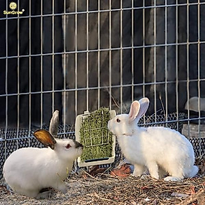 SunGrow Hay Feeder for Rabbits, Hamster, Chinchilla, Indoor Food Dispenser, No Mess Hay Rack Manger for Small Animals, Hanging Alfalfa and Timothy Hay Dispenser, Guinea Pig Cage Accessories, White