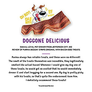 Purina Beggin' Strips Dog Treats, Original With Bacon Flavor - 48 oz. Pouch