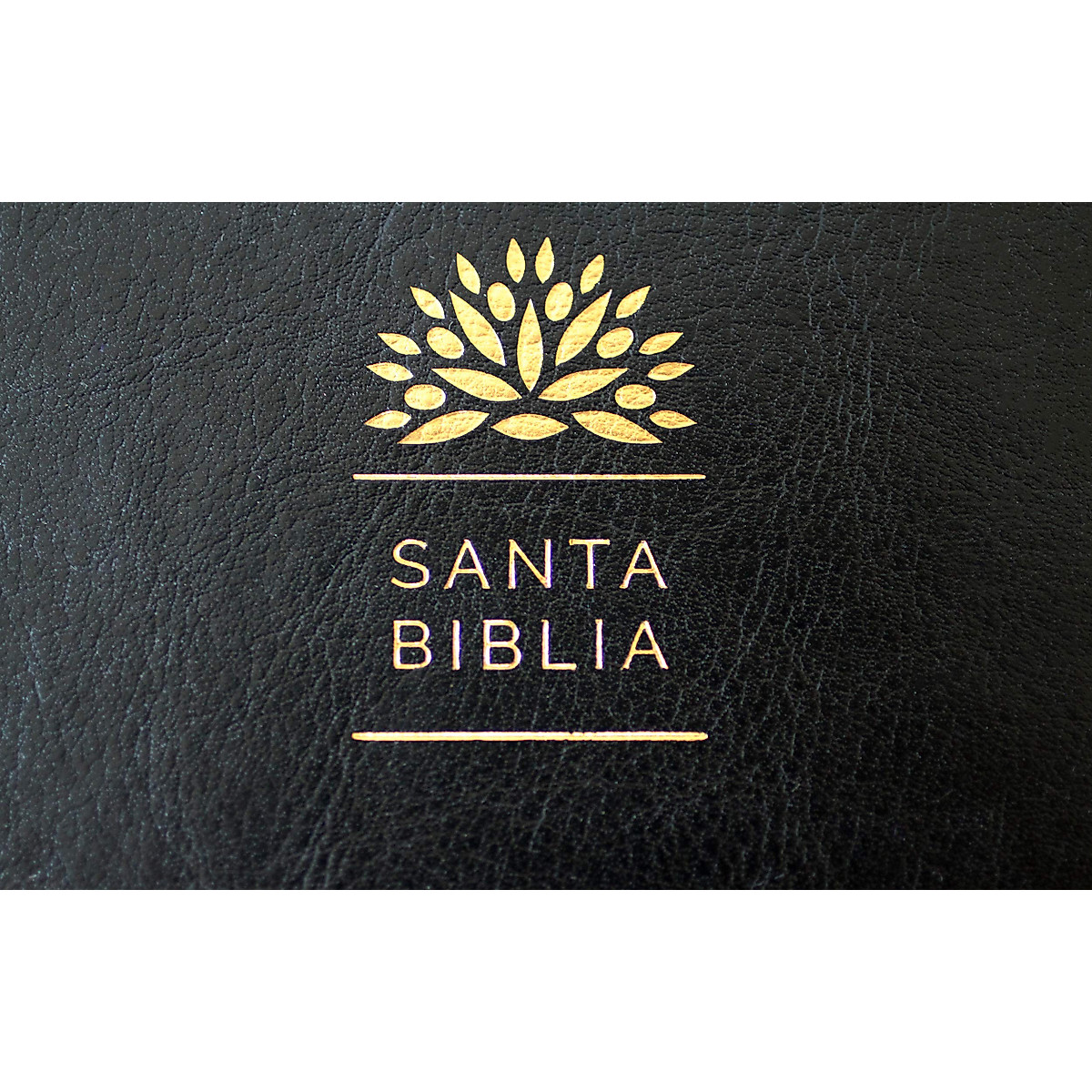 Biblia Reina Valera 1960 letra grande. Símil piel negra, cremallera, tamaño manu al / Holy Bible RVR 1960. Handy Size, Large Print, Leathersoft, Zipp