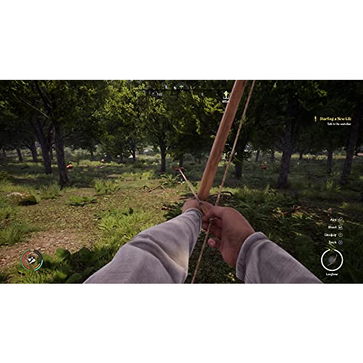 Medieval Dynasty - Xbox Series X