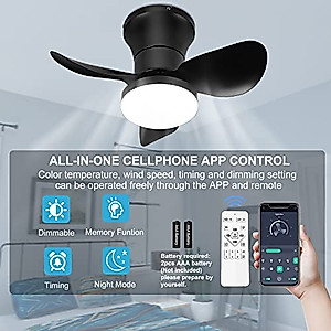 Ceiling Fan with Lights and Remote - 21'' Small Modern Ceiling Fan Remote & APP Control - Dimmable Metal Blades Flush Mount Quiet Mini Ceiling Fans Lights for Kitchen Dining Room Bedroom(Black)