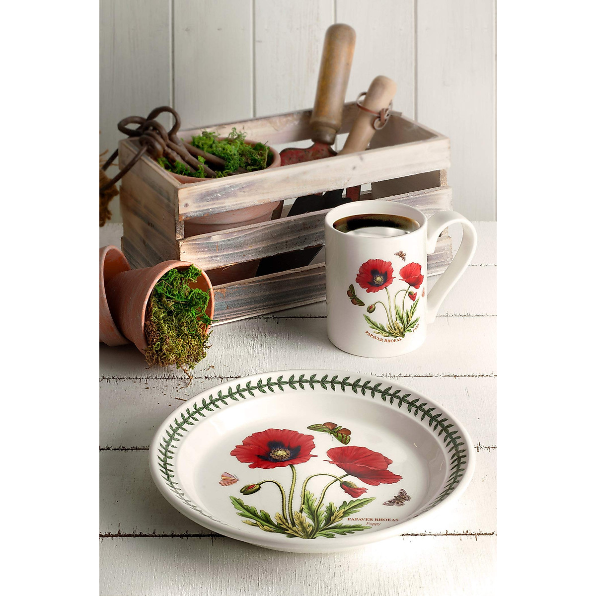 Portmeirion Botanic Garden Salad Plate | Set of 6 Salad Plates | Assorted Floral Motifs | Dishwasher, Microwave, & Oven Safe | 8.5 Inch | Made in England