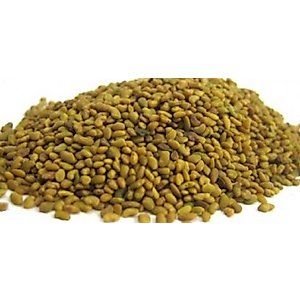 Todd's Seeds Alfalfa Sprouting Seeds, 2.5 Pounds Bulk Alfalfa Seeds, Fast Growing Seeds, Chemical Free, High Sprout Germination