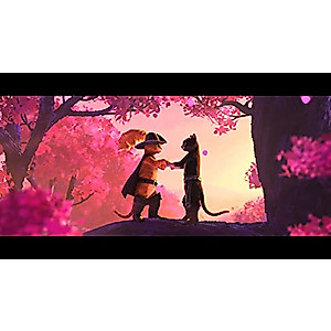 Puss in Boots: The Last Wish - Collector's Edition 4K Ultra HD + Blu-ray + Digital [4K UHD]