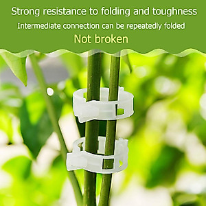 Acronde 200PCS Plant Support Clips, Tomato Clip, Crop Clip, Vine Fixing Clips for Fixation of Tomato, Sweet Pepper, Eggplant, and Fruit Vegetables