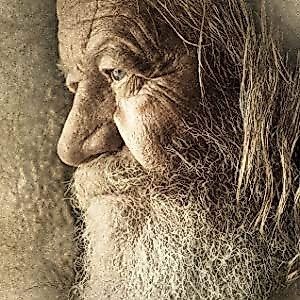 PPD Printable Fabric Sheets, Canvas Paper for Inkjet Printer, 11 x 17" Photo Fabric Printer Sheets, Print On 100% Real Cotton, Matte Finish, No Watermark, 340 gsm 125 lbs (10 Sheets)