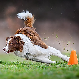Juvale 50 Pack Mini Cones for Classroom, Small Sports Markers for Soccer, Playground (Orange, 3 in)