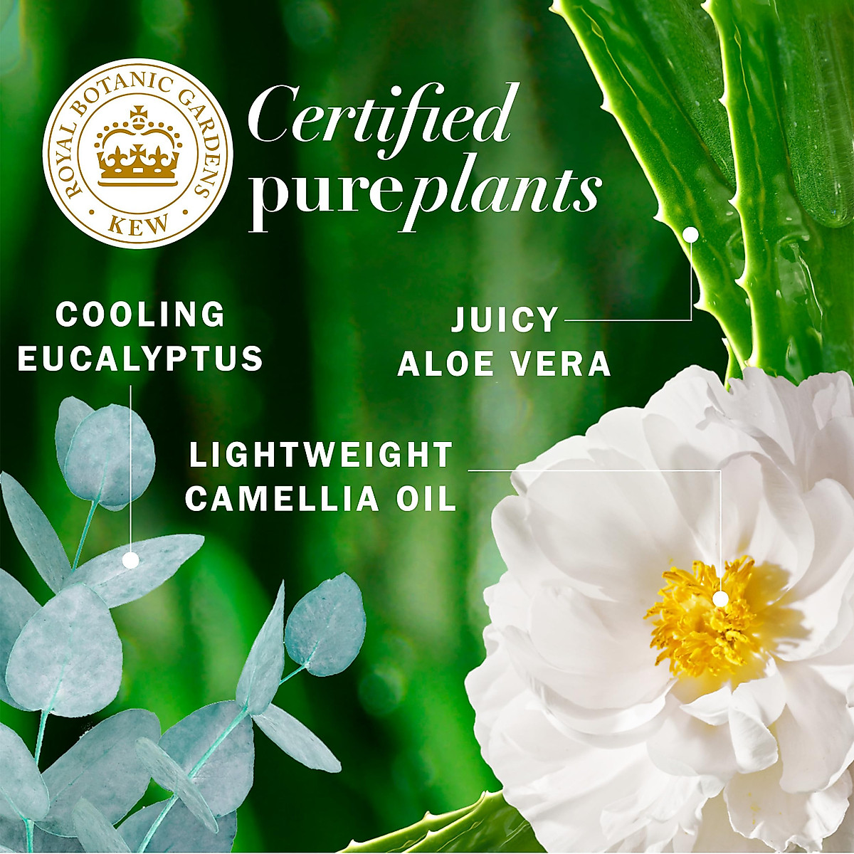 Herbal Essences Bio: Renew Potent Aloe + Eucalyptus Conditioner Scalp Balance, 13.5 Fl Oz, 5.523 Fl Oz