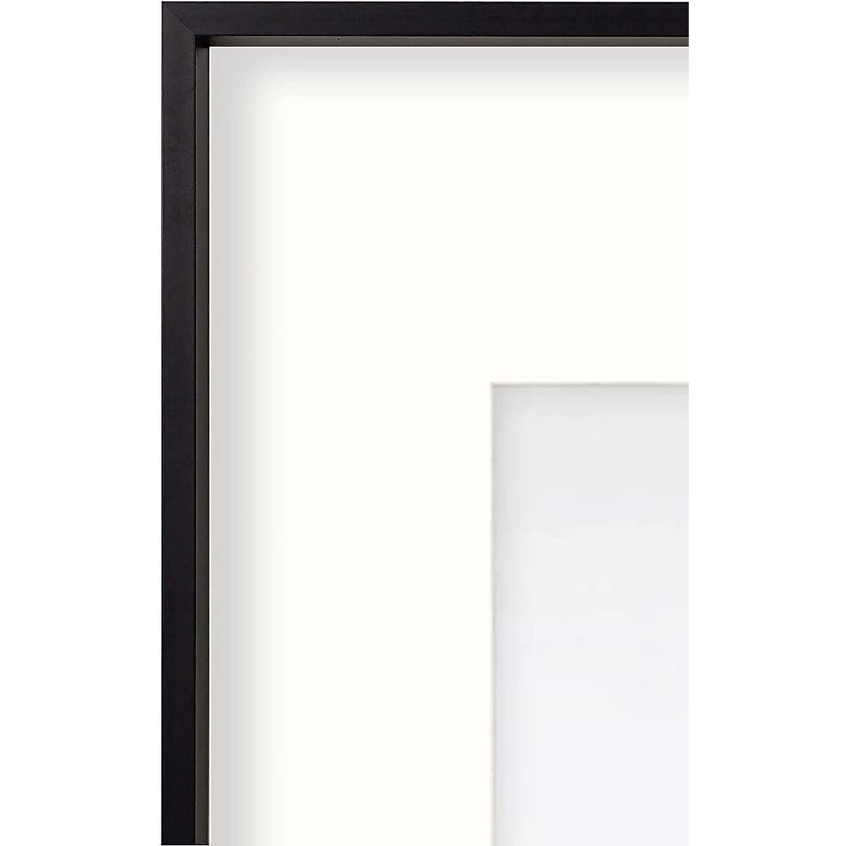 Golden State Art, 16x20 Black Picture Frame Displays Photo 11x14 with Mat or 16 x 20 Without Mat for Wall Mounting, Classic Satin Aluminum Frames with Real Glass (Pack of 1)