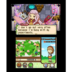 Harvest Moon: Tale of Two Towns - Nintendo 3DS