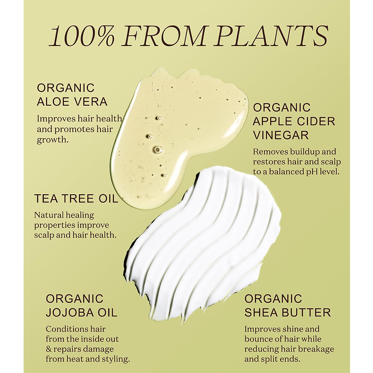 Ingreendients Non Toxic Vegan Shampoo and Conditioner with Organic Ingredients, Apple Cider Vinegar, Tea Tree Oil - Color Safe, Paraben & Gluten Free, Silicone & Sulfate Free, pH Balanced