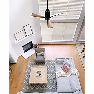 Matthews PA3-BRBR-WA-60 Patricia Indoor/Outdoor Damp Rated 60" Ceiling Fan with LED Light and Remote & Wall Control, 3 Walnut Solid Wood Blades, Brushed Brass