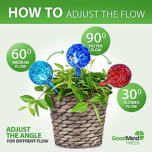 Large Plant Watering Globes, Outdoor Indoor Watering Devices, Aqua Globes, Glass Self Watering Globes, Water Globe, Water Plant Stakes, Spikes, Water Bulbs, Water Balls, Watering Bulb