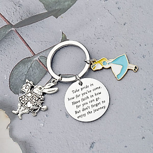 FUSTMW Alice Gifts Keychain Rabbit Alice Pendant Wonderland Inspired Gifts Cartoon Keepsake Keychain Friendship Gifts (silver)