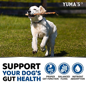 Probiotics for Dogs and Digestive Enzymes - 170 Dog Probiotics Chews - Dog Probiotic - Anti Diarrhea, Upset Stomach & Gas Relief, Canine Prebiotic - Pet Fiber Supplement - Beef Liver Flavor