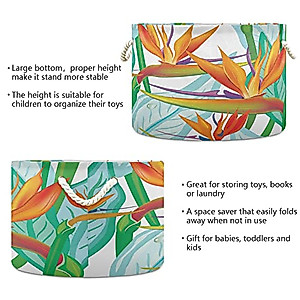 Kigai Cotton Rope Basket Birds Of Paradise Flower Collapsible Baby Laundry Basket with handles Blanket Basket Kids Toy Storage Basket for Shelf Organizer Home Decor