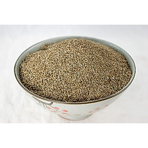 Calibonsai 1 Quart Fine Vermiculite for Seed Starting, Cuttings, Cactus & Succulent Soil Amendment, 1QFIVERMI