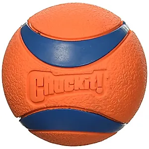 Chuck it Ultra Ball, Large/Grande, Orange (2 Pack)