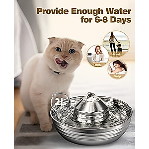 oneisall Cat Water Fountain Stainless Steel,2L/67oz Quiet Cat Fountain Water Bowl for Multiple Pets,Low Noise Water Fountain for Cats Inside