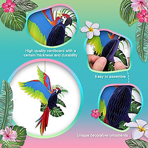 9 Pieces Tropical Birds Honeycomb Paper Cutouts Rio Luau Party Hanging Decorations Rainforest Hanging Paper Birds Hawaiian Summer Parrot Honeycomb Cutouts for Luau Summer Party Decor
