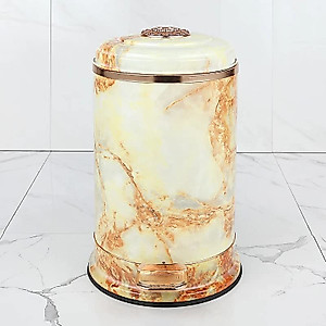 MFCHY Stainless Steel Metal Trash Bins Garbage Cans Foot Pedal Bucket Trash Kitchen Home Decoratio