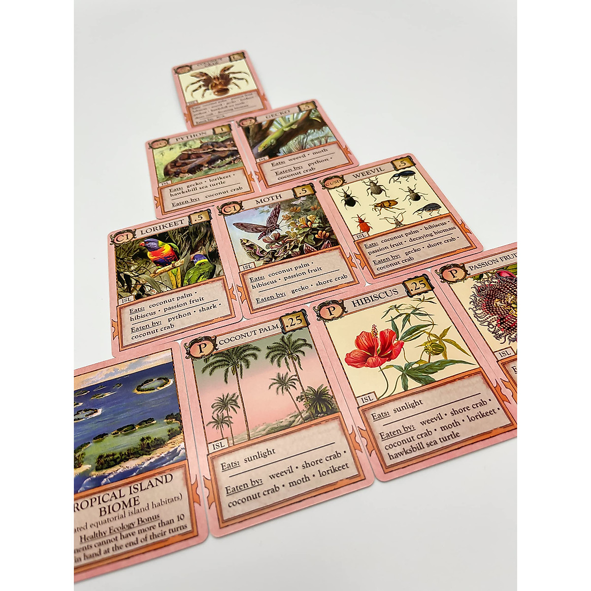 Montrose Biology Ecologies: Hidden Habitats - Use Science to Build Food Webs in 7 Biomes - Beautiful Vintage Nature Art for The Classroom or Game Night