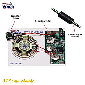 EZSound Module - Push Button Activated - Easy to Record - 120 Seconds Recording - High Sound Quality