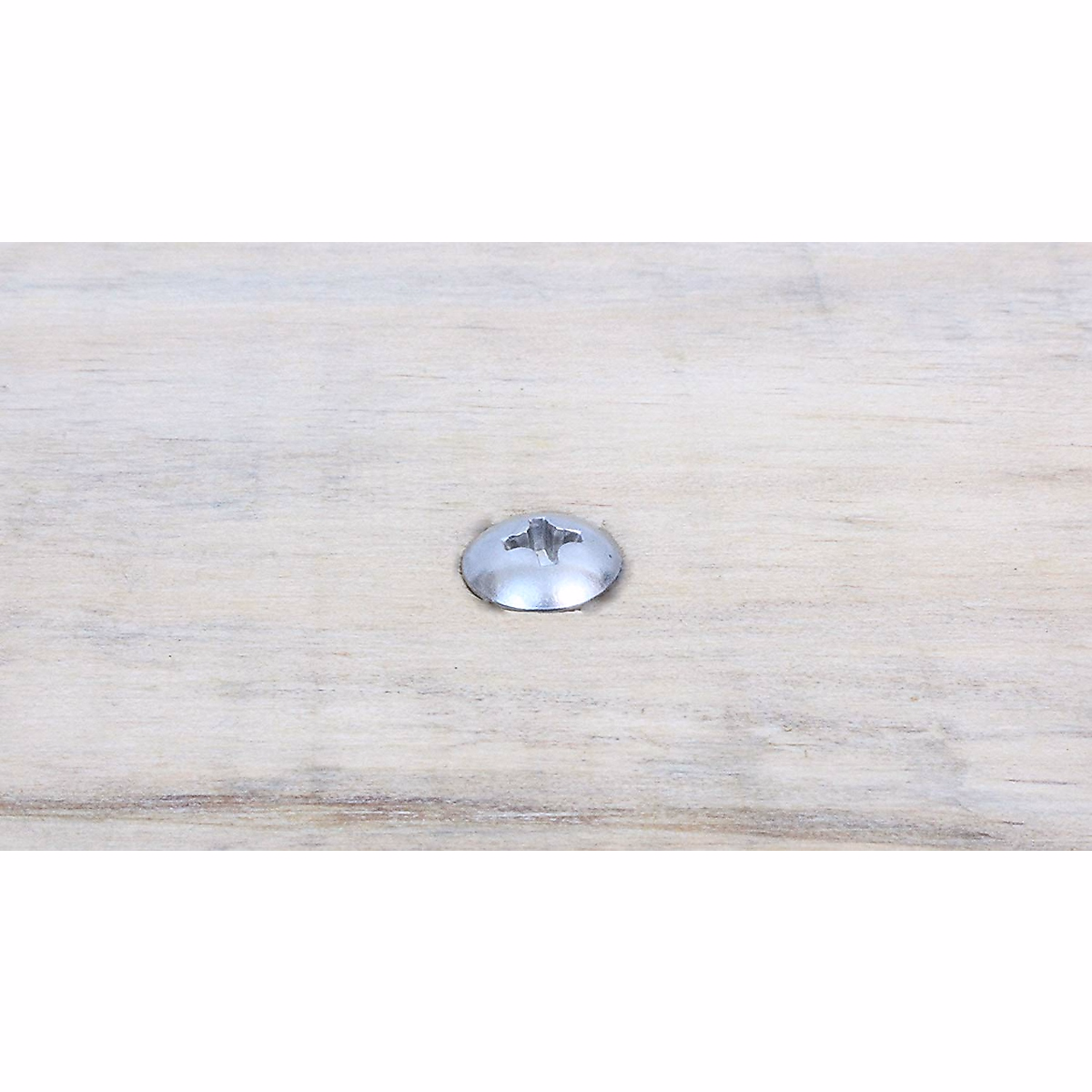 Bolt Dropper No. 6 x 1/2" Stainless Truss Head Phillips Wood Screw, (100 pc), 18-8 (304) Stainless Steel Sheet Metal Screws, Type A Point, Plain Finish by Bolt Dropper