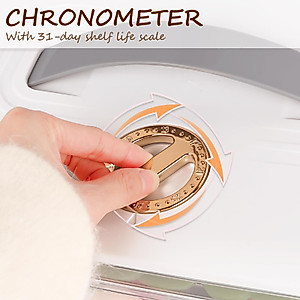 Liatinbo 4-Layer cookie carrier with lid and handle,dessert carrier dumpling container cookie transport storage container (4-Layer white)