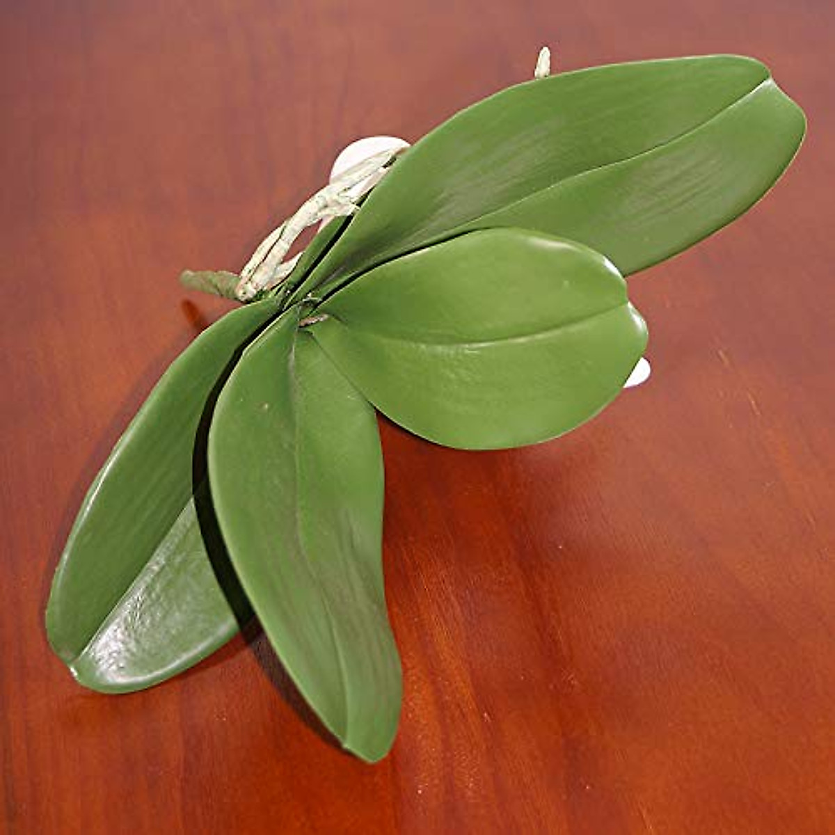 Qianmo Artificial Orchid Leaf Plants PU Latex Real Touch Faux Leaves Arrangement Home Décor Office Garden Bonsai Decoration Flowers (Big Size (3 Bunches))
