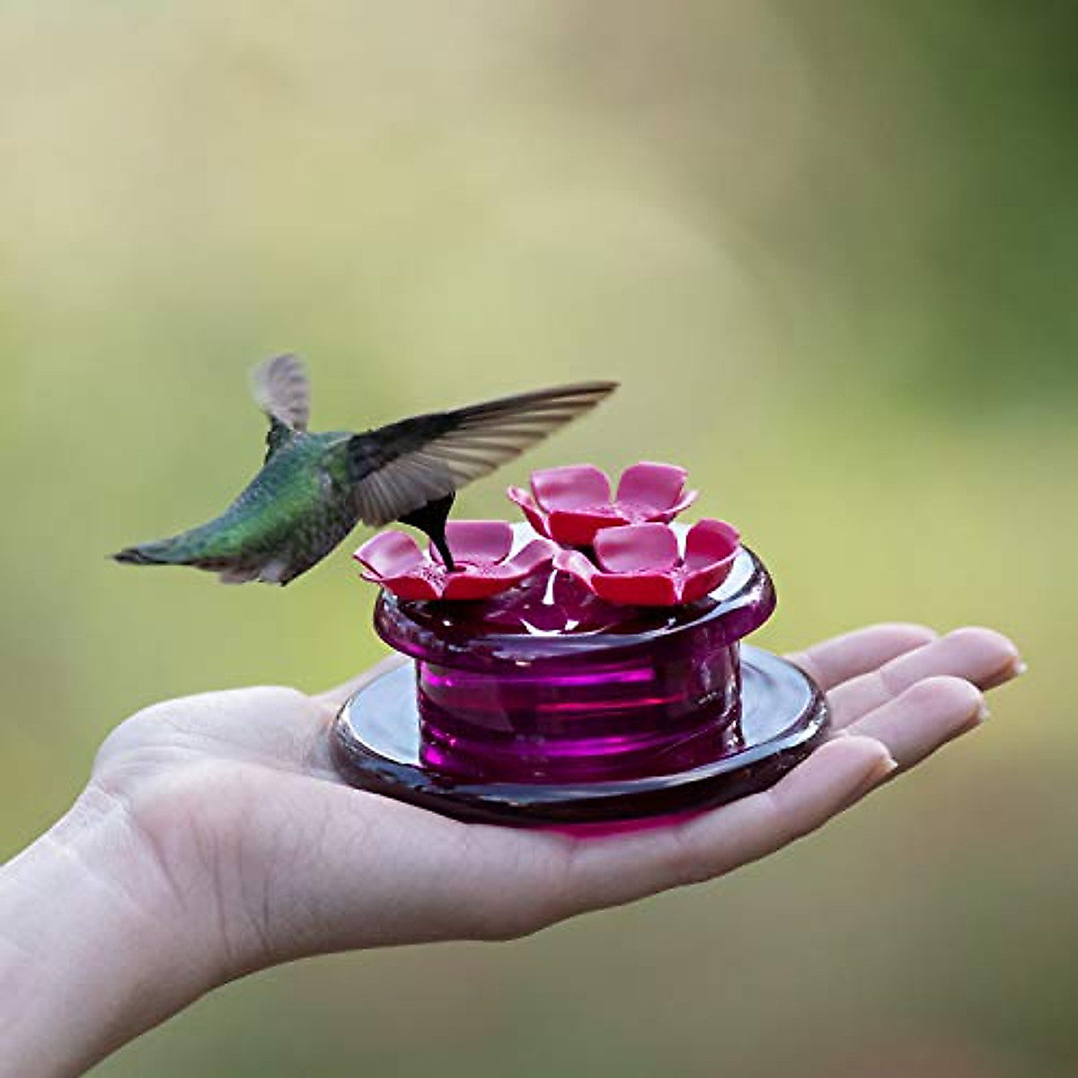 Perky-Pet 9100 Handheld & Tabletop Hummingbird Feeder