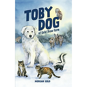 Toby Dog of Gold Shaw Farm