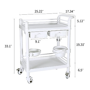 2 Tier Medical Beauty Cart, Heavy Duty Salon Trolley with 360° Swivel Wheels and Dirt Bucket Drawer Storage Organizer for Hospital Dental Clinic Spa Esthetician
