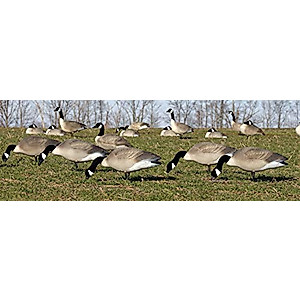 Flambeau Outdoors 8990FBU Storm Front 2 Canada Goose Decoys, Full Body Flocked Heads - 6-Pack