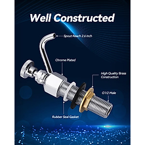 Dipper Well Faucet, iVIGA Coffee Shop Bar Counter Sink Faucet, Brass Commercial Food Washing Tool for Washing Coffee Ice Cream Spoon Utensils Accessory Kitchen Equipment, with Quick Connector